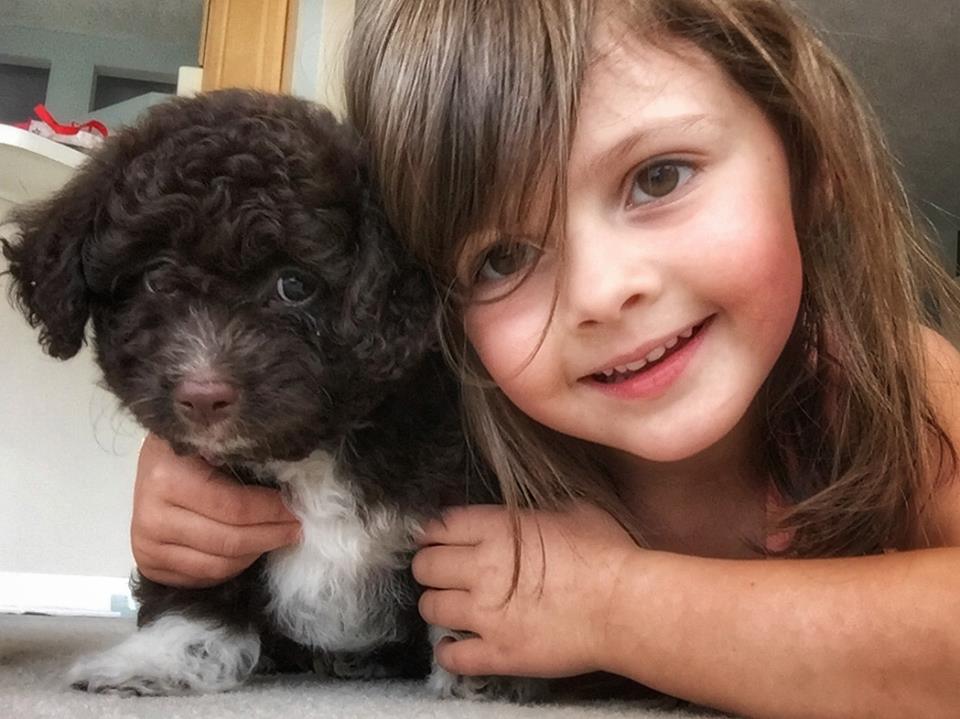 SplashJeepPup - Sunny Day Puppies